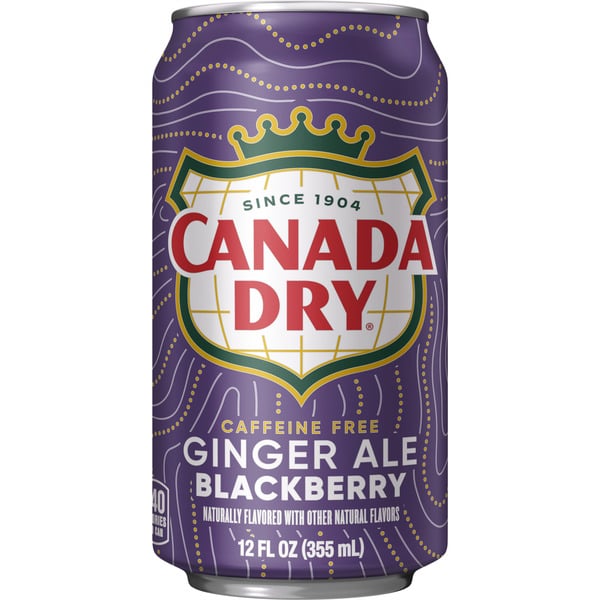 Canada Dry Ginger Ale Blackberry – Exotic Snack Guys